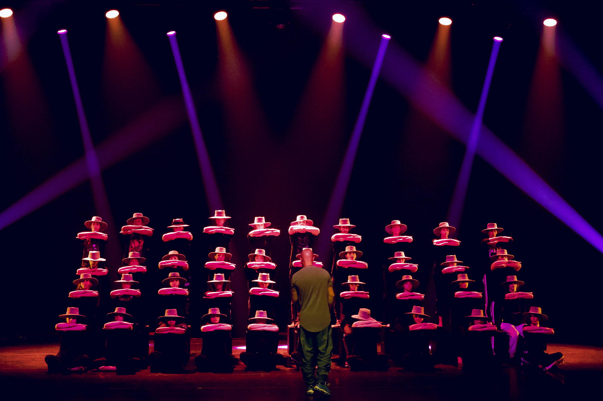 Presse - Murmuration