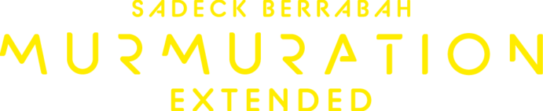 Murmuration le spectacle - Sadeck Berrabah